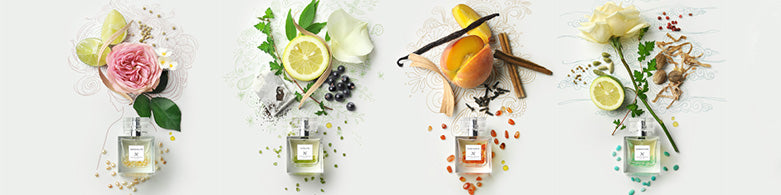 Valeur Absolue – escentials.com.th